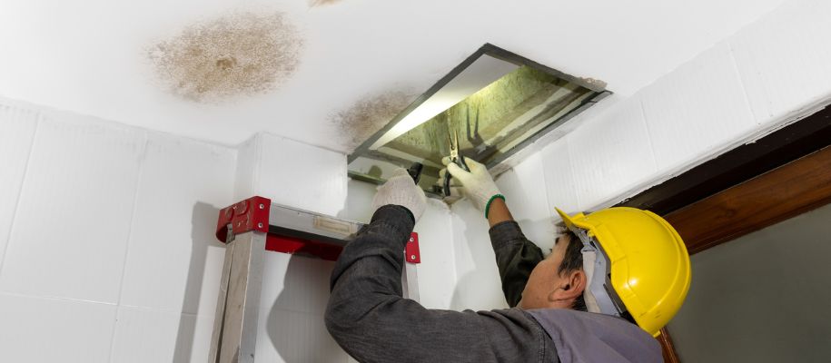 Industry Response to Typlex pipes is live: an update from CEO Cath Hart ...